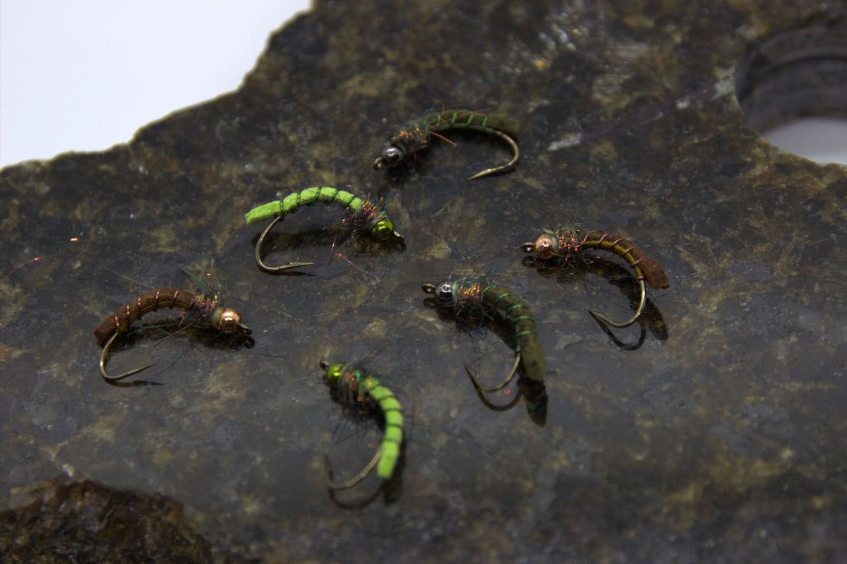Leather Larva Caddis Fly Tying Tutorial – Snake River Fly