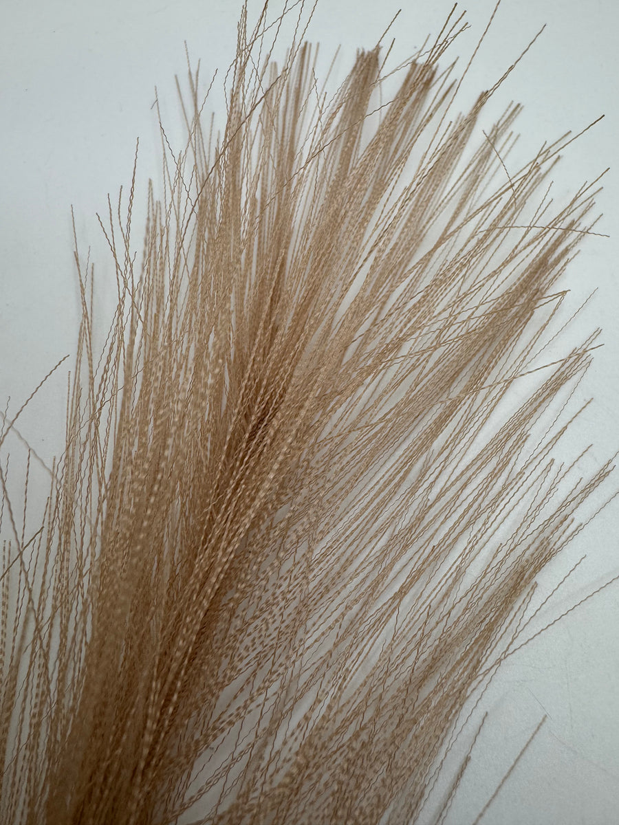 Bug Feelers – Snake River Fly